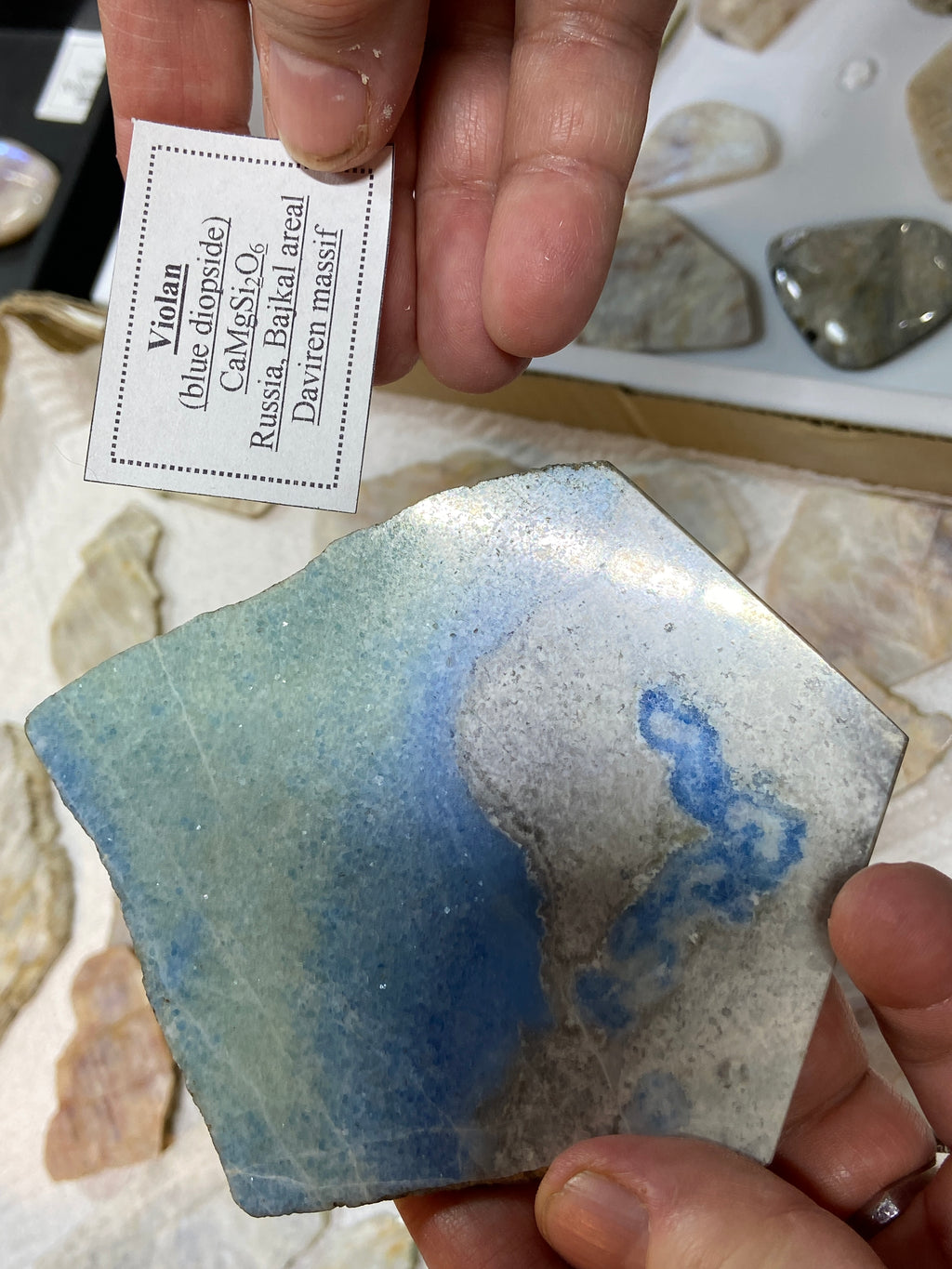 Violan Slice – EAT Gallery