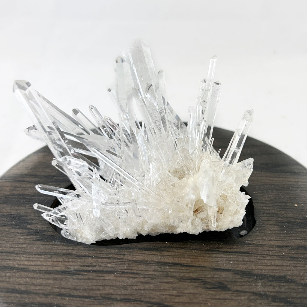 Colombian Quartz Cluster – EAT Gallery